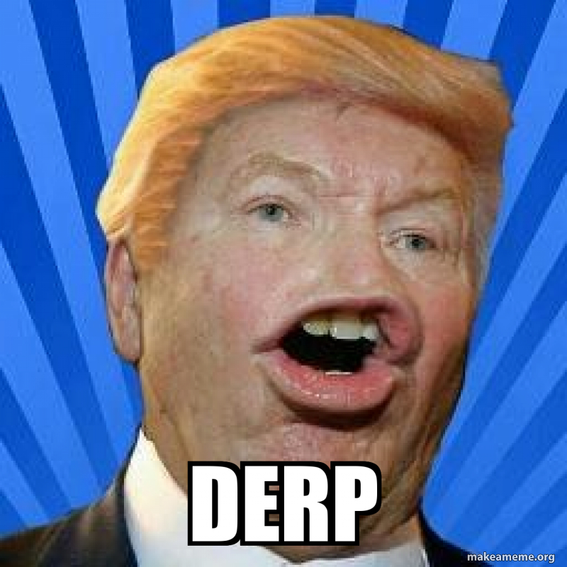 Derp Meme Generator