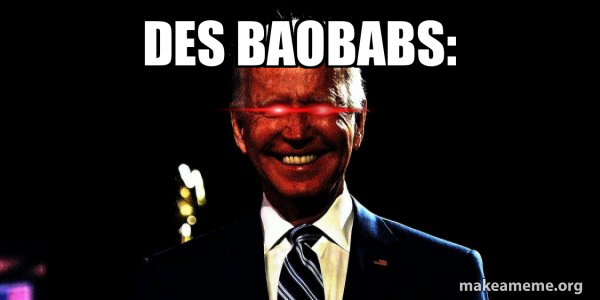 des baobabs: - Dark Brandon Meme Generator