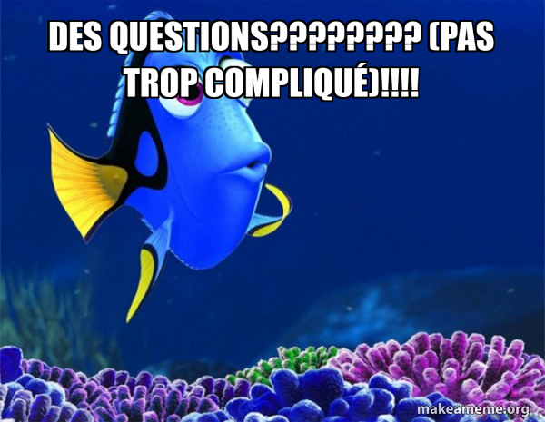 Des questions???????? (Pas trop compliqué)!!!! - Dory from Nemo (5 ...