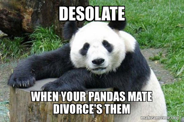 desolate when your pandas mate divorce's them - Confession Panda Meme ...