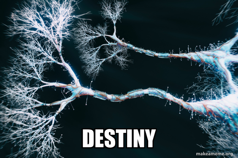 DESTINY Meme Generator