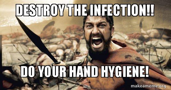 Destroy the infection!! Do your hand hygiene! - The 300 Meme Generator