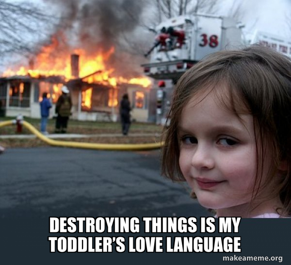 Destroying things is my toddler’s love language - Disaster Girl Meme ...