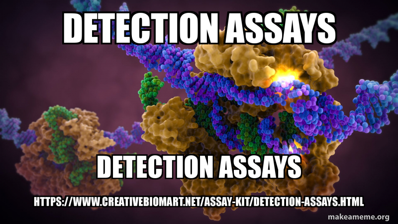 Detection Assays Detection Assays https://www.creativebiomart.net/assay ...