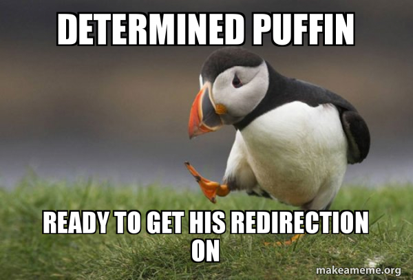 Determined Puffin Ready To Get His Redirection On - Unpopular Opinion ...