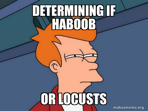 Determining if Haboob Or Locusts - Futurama Fry Meme Generator