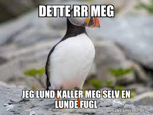Dette rr meg Jeg lund kaller meg selv en lunde fugl Meme Generator