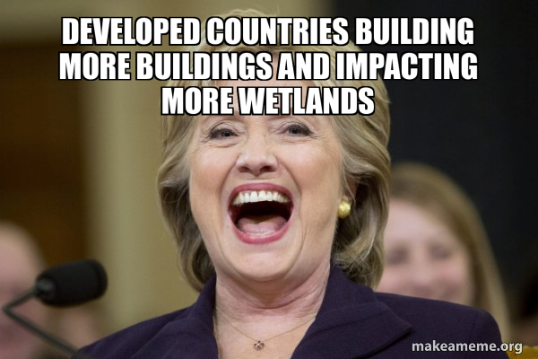 developed countries building more buildings and impacting more wetlands ...