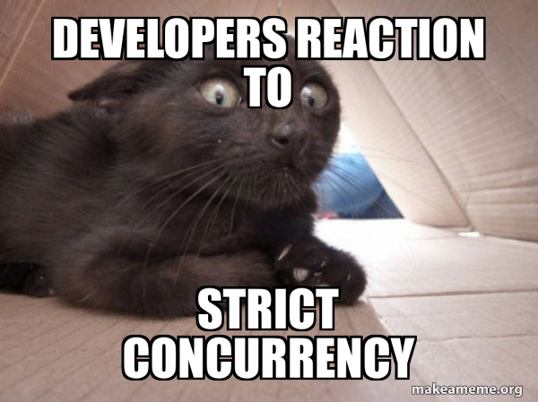 Developers reaction to Strict Concurrency - Schitzo Cat Meme Generator