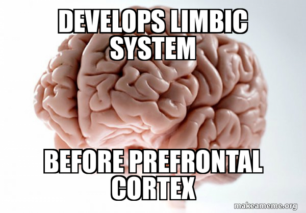 Limbic System Memes Add Funny Memes And Scenarios Here!! | Fandom