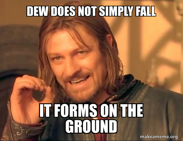 Dew does not simply fall It forms on the ground - One Does Not Simply ...