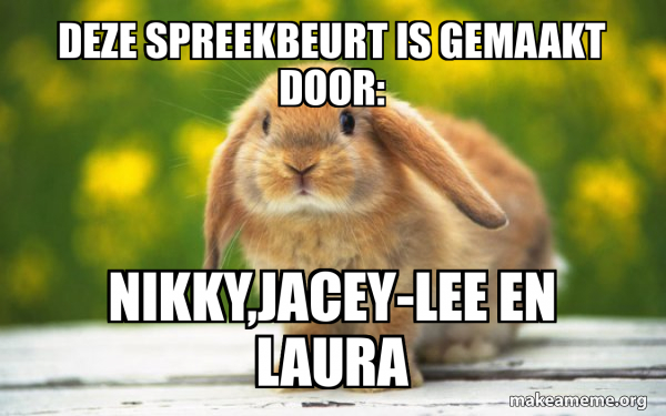 deze spreekbeurt is gemaakt door: Nikky,Jacey-lee en Laura - Regretful ...
