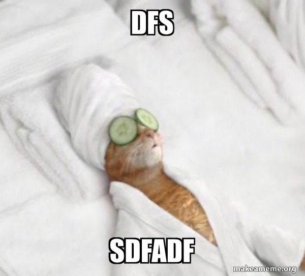 dfs sdfadf - Pampered Cat Meme | Make a Meme