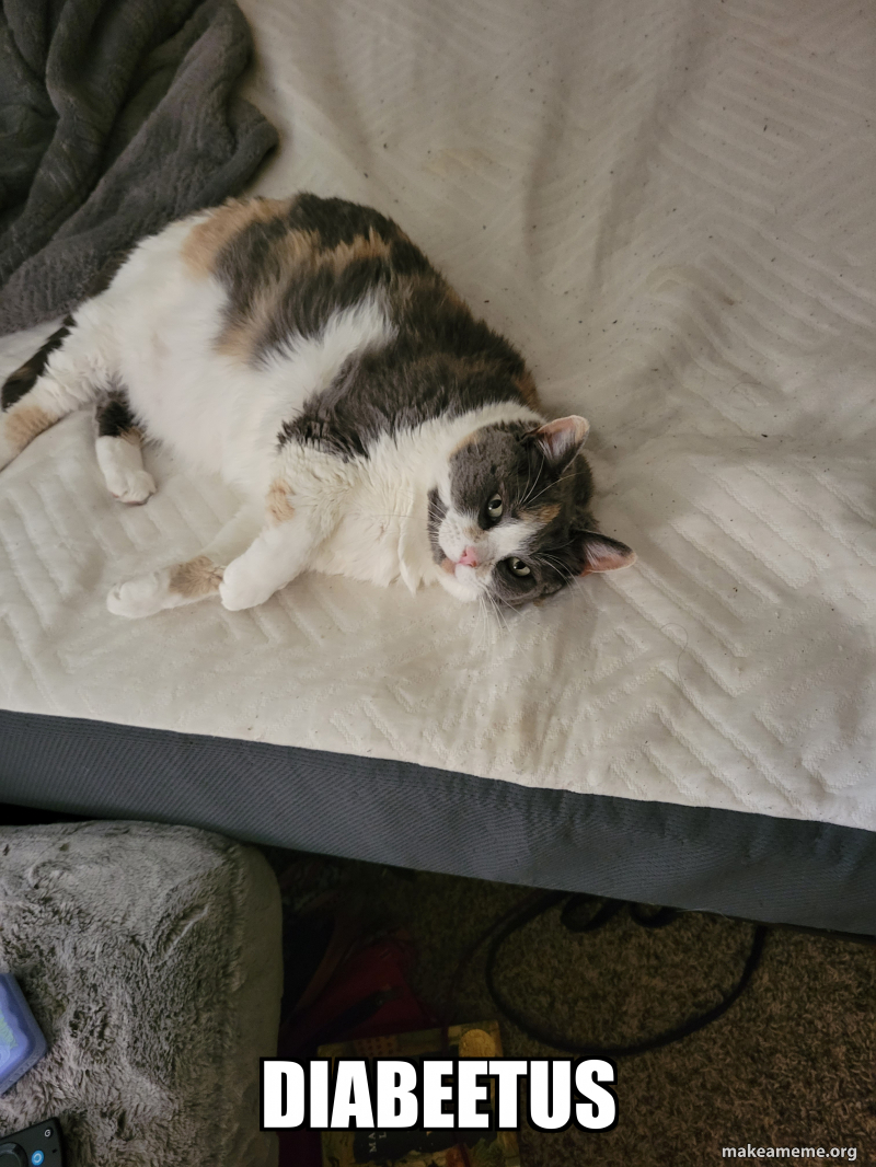 Diabeetus Meme Generator