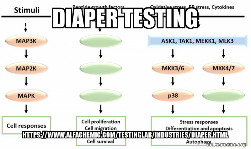 Diaper Testing https://www.alfachemic.com/testinglab/industries/diaper ...