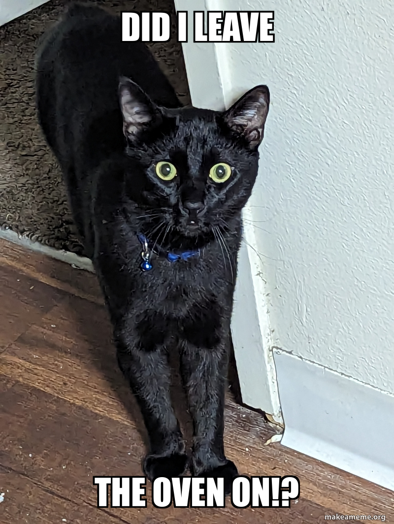 Did I leave The oven on!? Meme Generator