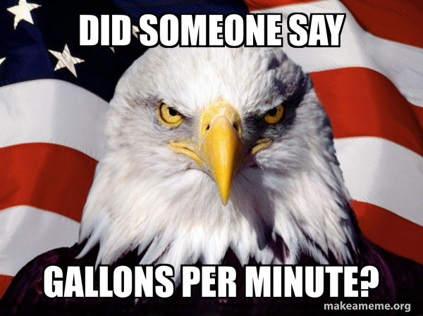 did someone say gallons per minute? - American Pride Eagle Meme Generator