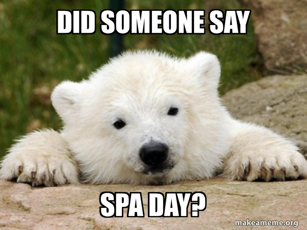 DID SOMEONE SAY SPA DAY? - Popular Opinion Bear Meme Generator