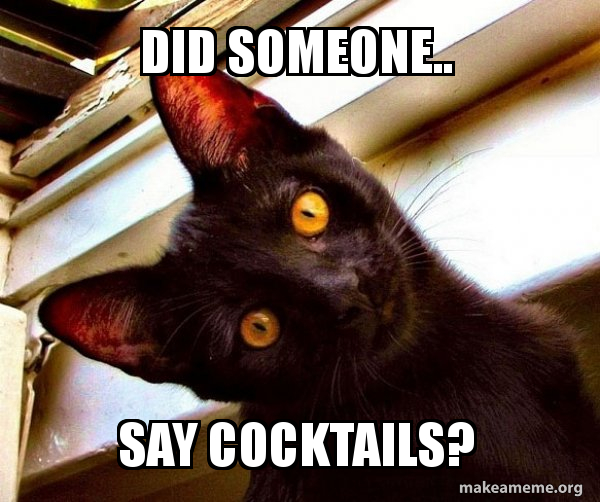 did someone.. say cocktails? - Overly Attached Cat Meme Generator