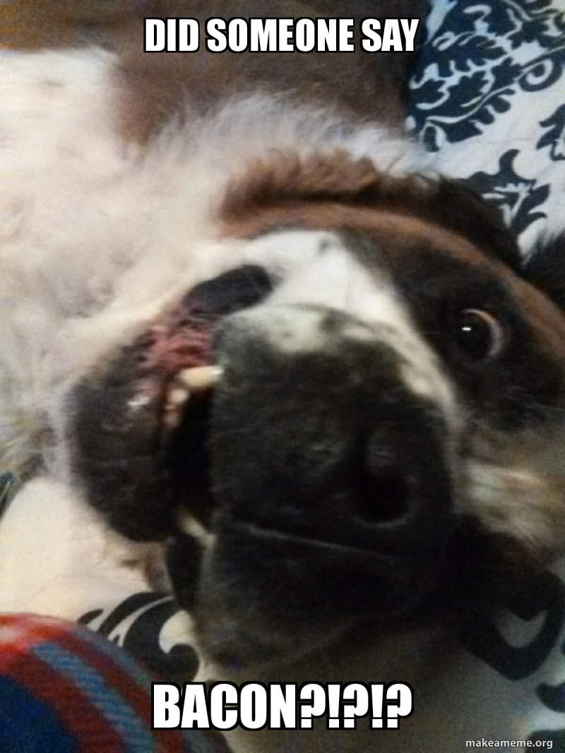 DID SOMEONE SAY BACON?!?!? Meme Generator