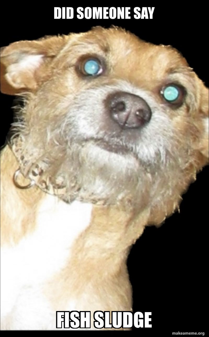 Did someone say fish sludge Meme Generator