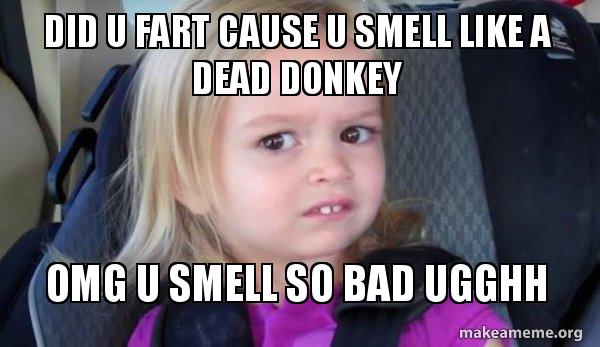 did u fart cause u smell like a dead donkey omg u smell so bad ugghh ...