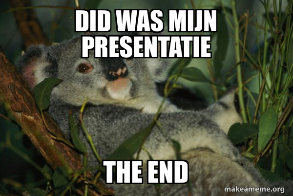 did was mijn presentatie the end - Laid Back Koala Meme Generator