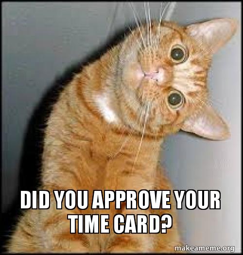 Did You Approve Your Time Card Meme Generator