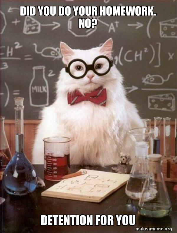 did you do your homework. NO? DETENTION FOR YOU - Chemistry Cat Meme ...