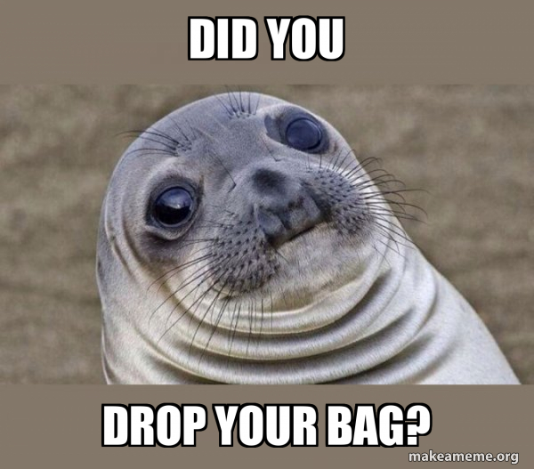 Did You Drop your Bag? - Squeamish Seal Meme Generator