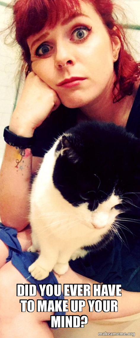 did you ever have to make up your mind? Meme Generator