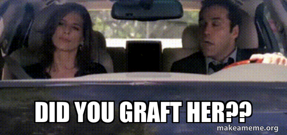 Did you graft Her?? Meme Generator