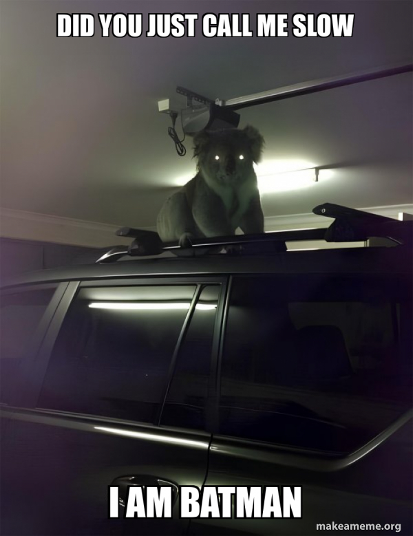 did you just call me slow i am batman - Drop Bear Meme Generator