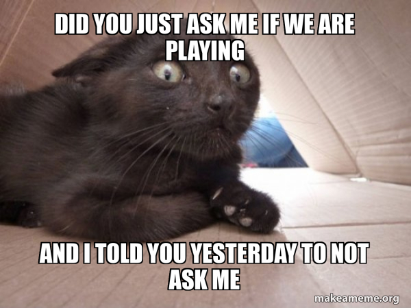 did you just ask me if we are playing and I told you yesterday to not ...