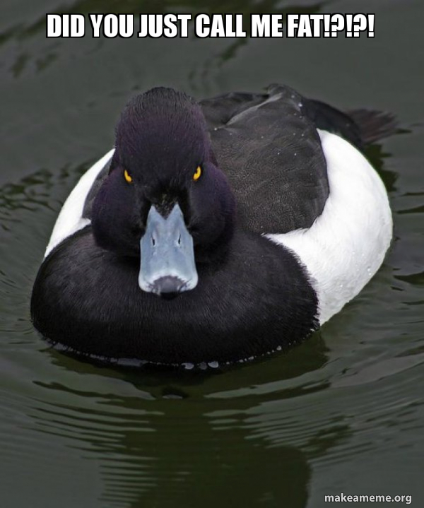DID YOU JUST CALL ME FAT!?!?! - Revenge Duck ( Angry Advice Duck ) Meme ...