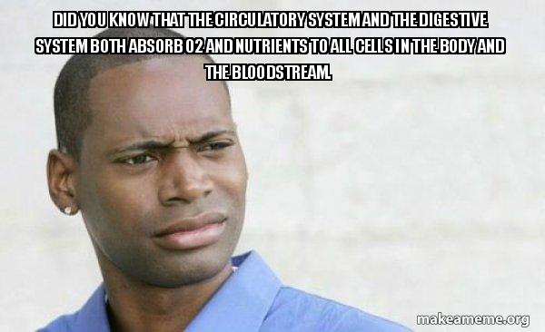 Did you know that the Circulatory system and the Digestive system both ...