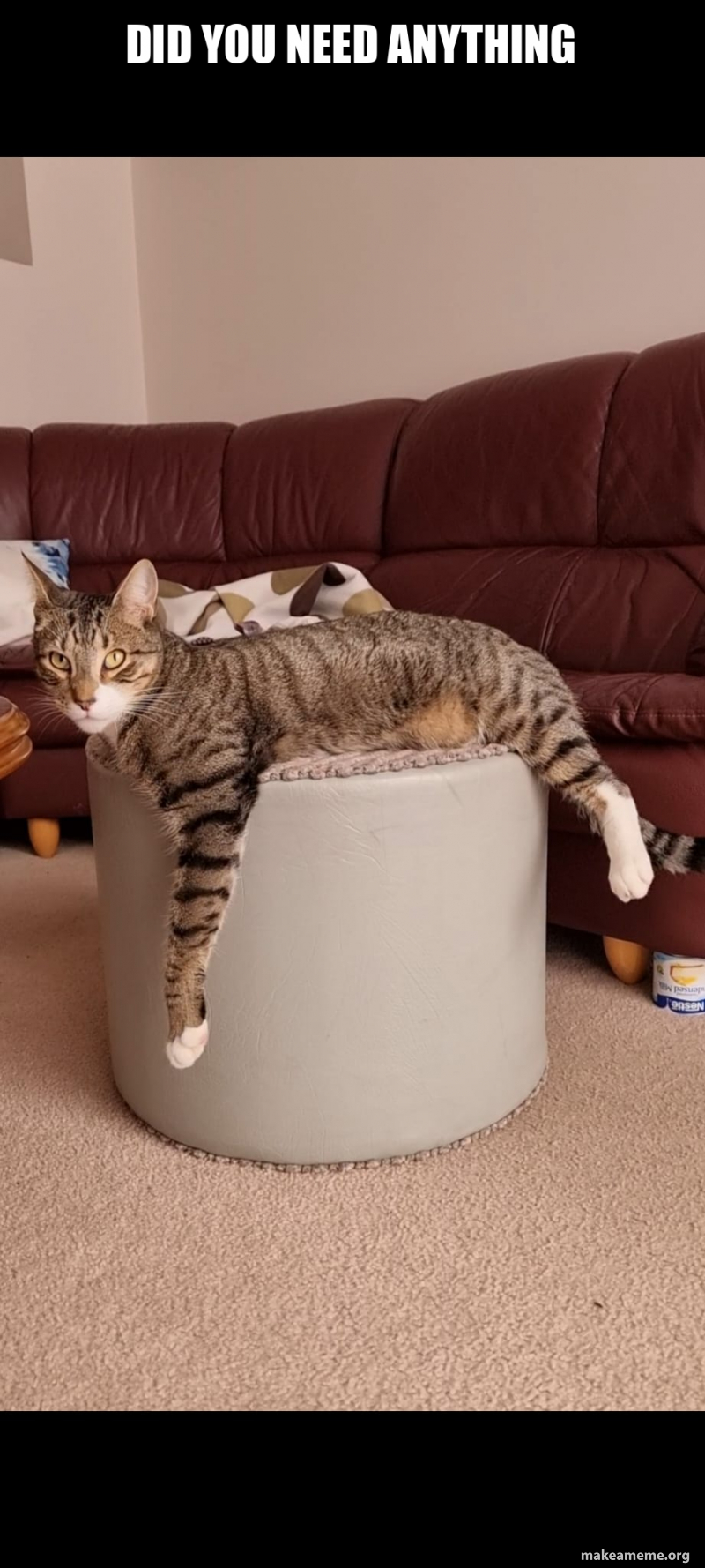 did you NEED anything Meme Generator