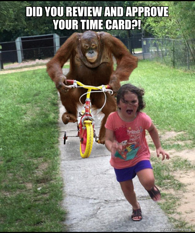Did you review and approve your time card?! Meme Generator