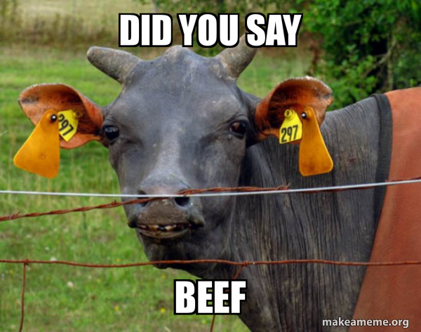 Cow Beef Memes A Close Up Front Shot Of A Cow Stock Photo Download