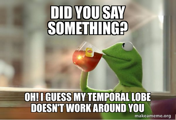 Did you say something? Oh! I guess my temporal lobe doesn't work around ...