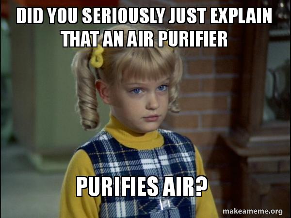 Did you seriously just explain that an air purifier Purifies air ...