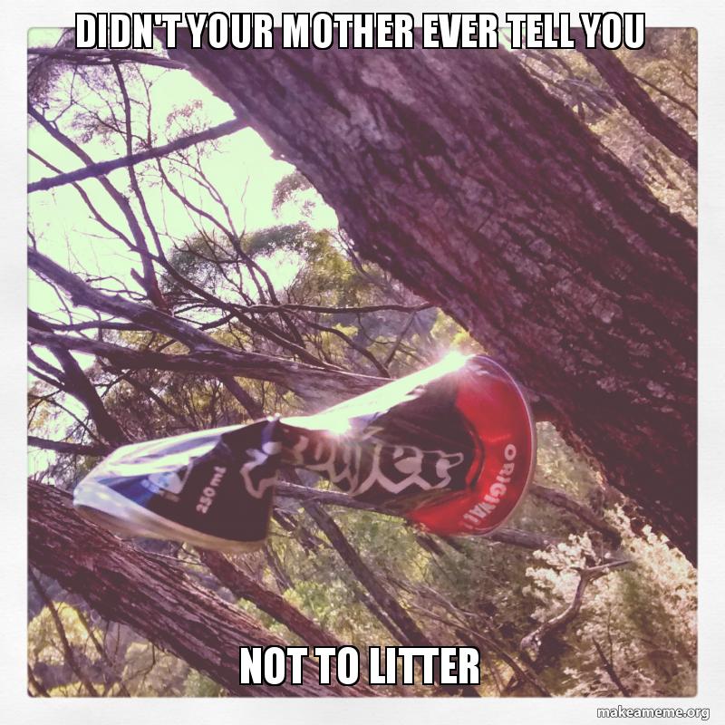 Didn't your Mother ever tell you Not to litter - Mother ducker Meme ...