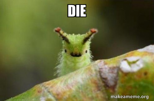 Die Meme Generator