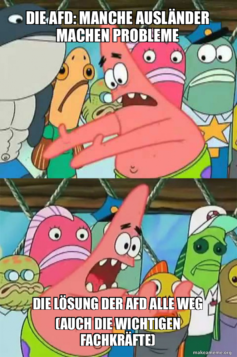 Die Afd: Manche Ausländer machen Probleme Die lösung der AFD alle weg ...