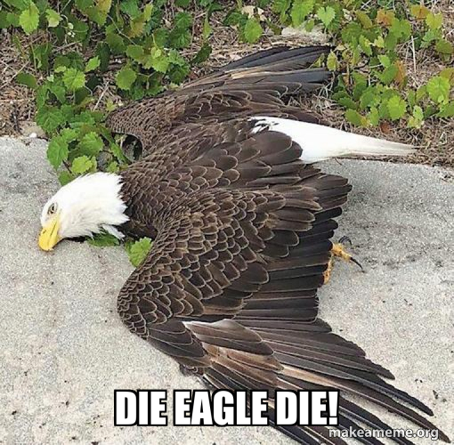 DIE EAGLE DIE! Meme Generator
