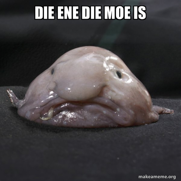 die ene die moe is - Blobfish Meme Generator