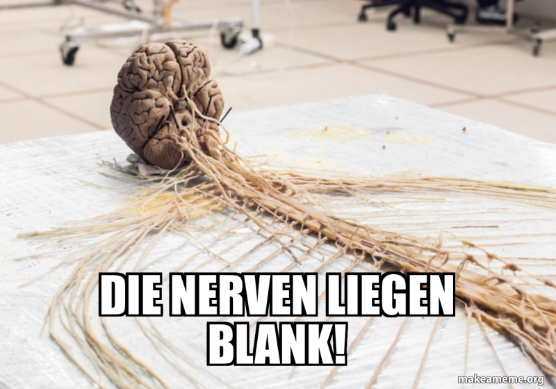 Die nerven liegen blank! Meme Generator