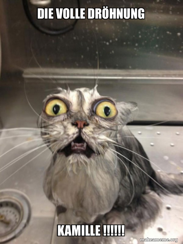 Die Volle Dröhnung Kamille !!!!!! - Cat bath Meme Generator