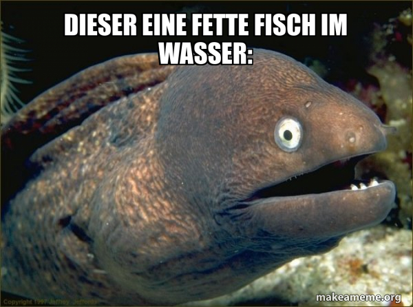 Dieser eine Fette Fisch im Wasser: - Bad Joke Eel Meme Generator