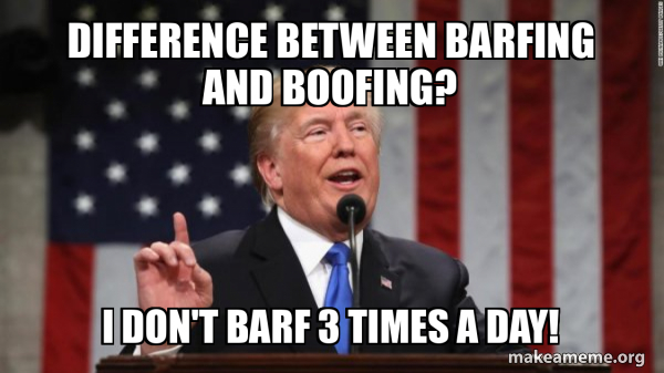 Difference between Barfing and Boofing? I don't barf 3 times a day ...